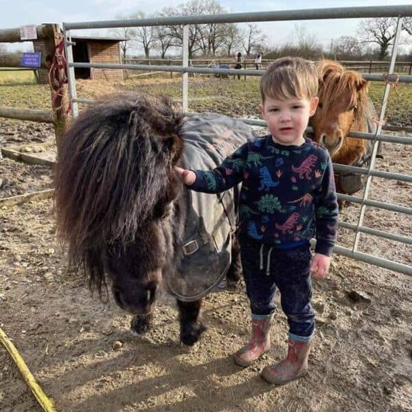 Pony Experience | Cherry Tree Farm